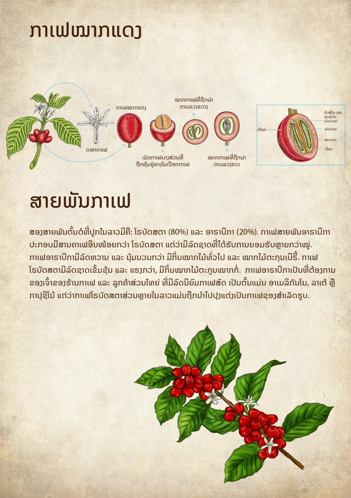 coffee family tree – Keoset Community Coffee
