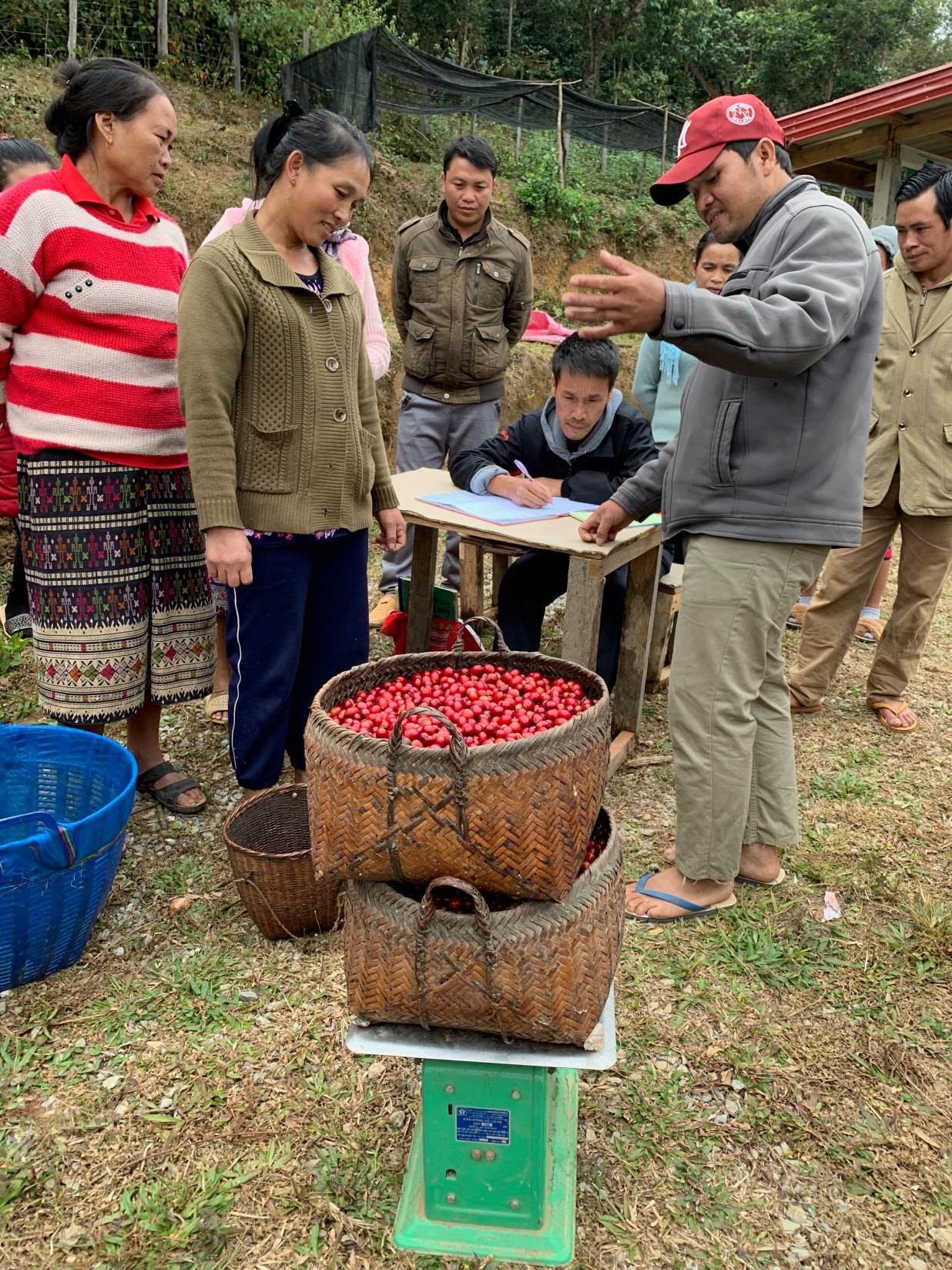 Keoset Community Coffee – Specialty coffee grown among forests in the ...